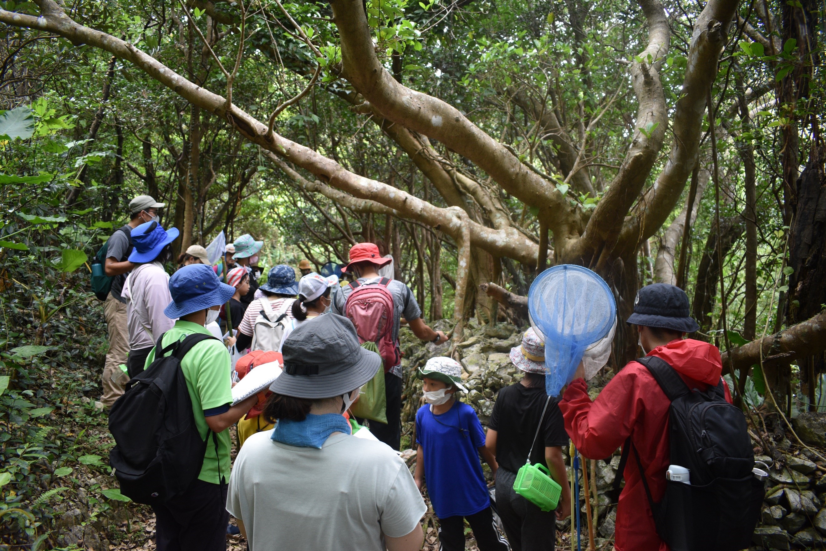 活動レポート【本部富士を散策しよう】｜こどもエコクラブ